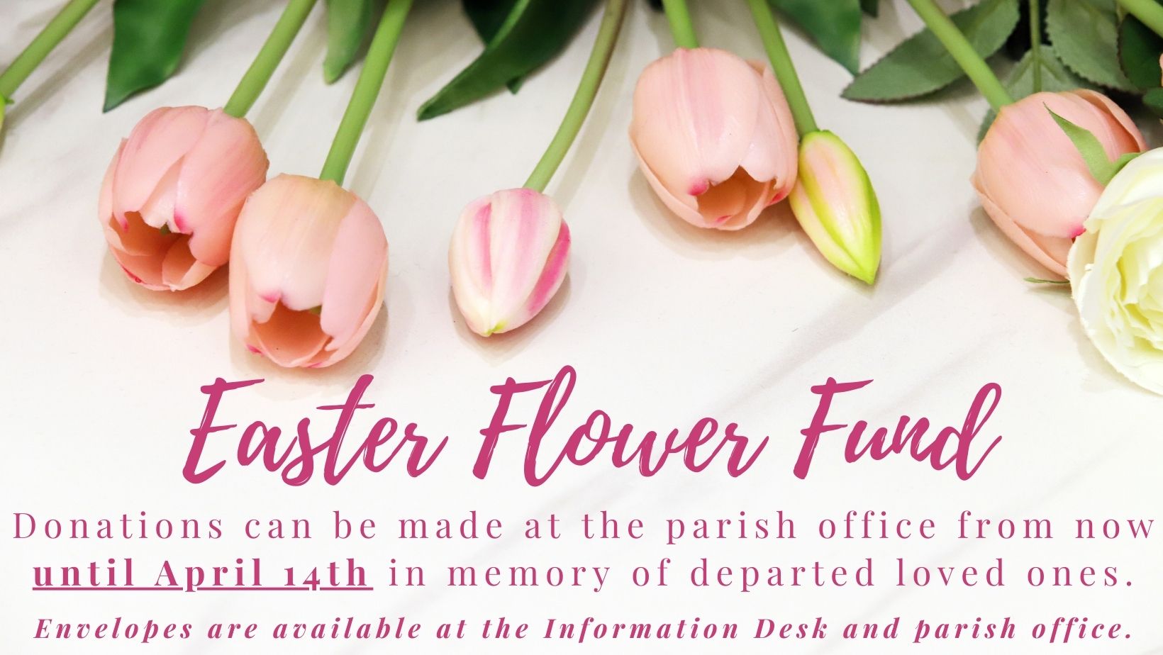 Easter Flower Fund at St. John Nepomucene – St. John Nepomucene ...